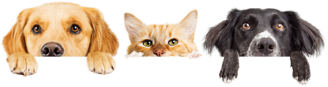 Dr. Katja Küther | Praxis in Tübingen